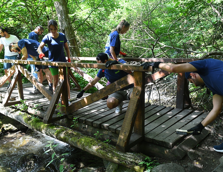 Доброволци на Yettel преобразиха местността „Плажът“ на Витоша - Новини ...